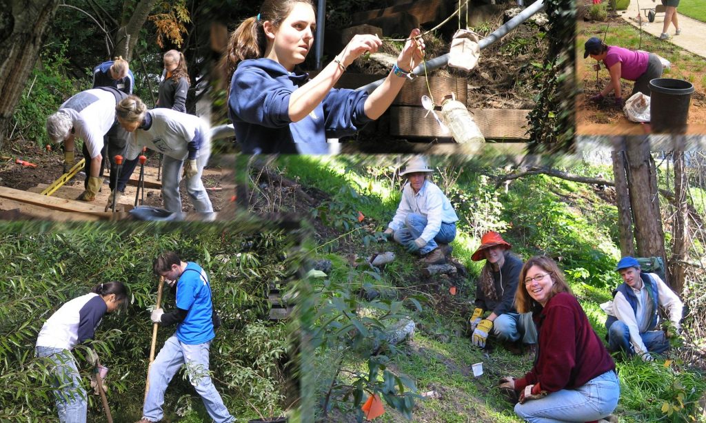 Berkeley Partners for Parks – Learn more about, contact, and join BPFP ...